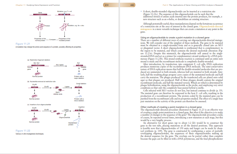 دانلود کتاب PDF Gene Cloning And Dna Analysis Seventh Edition